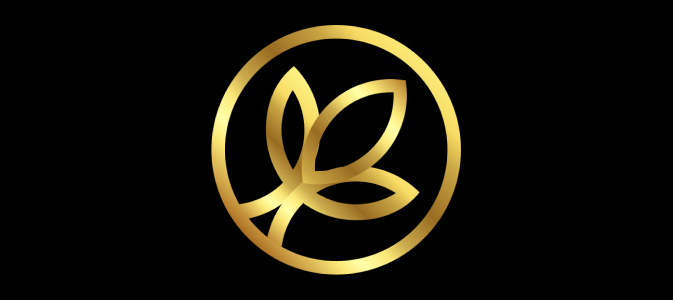 Dragon and Rat - Zodiac Compatibility powered by YouApp.ai